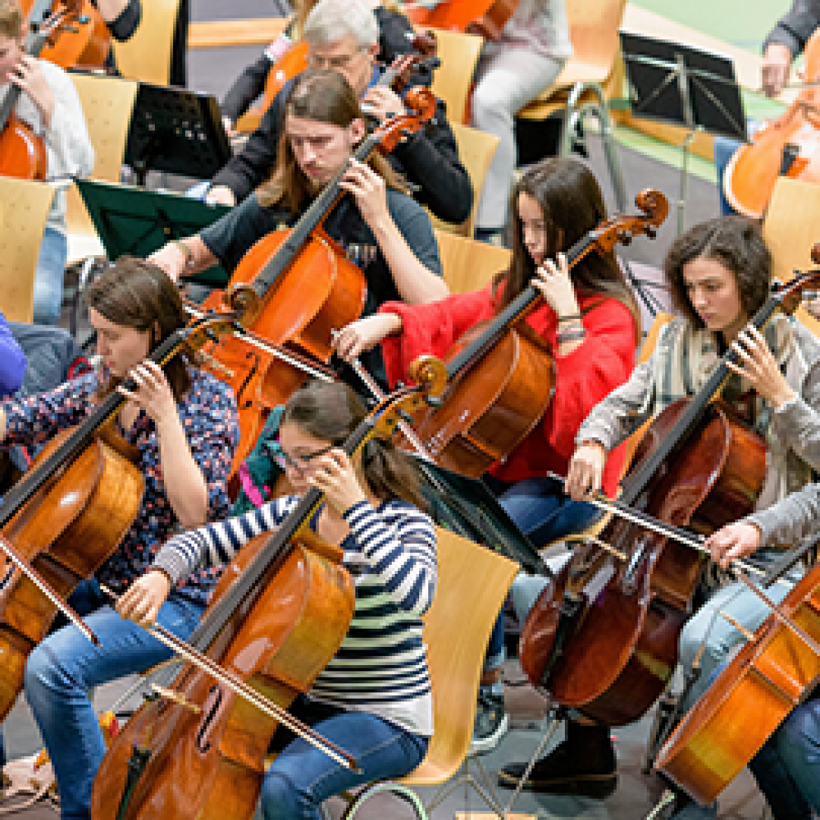 About the Academy | Cello Akademie Rutesheim